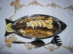 Silvestrovská mrena - Recepty - Rybárske potreby SPORTS