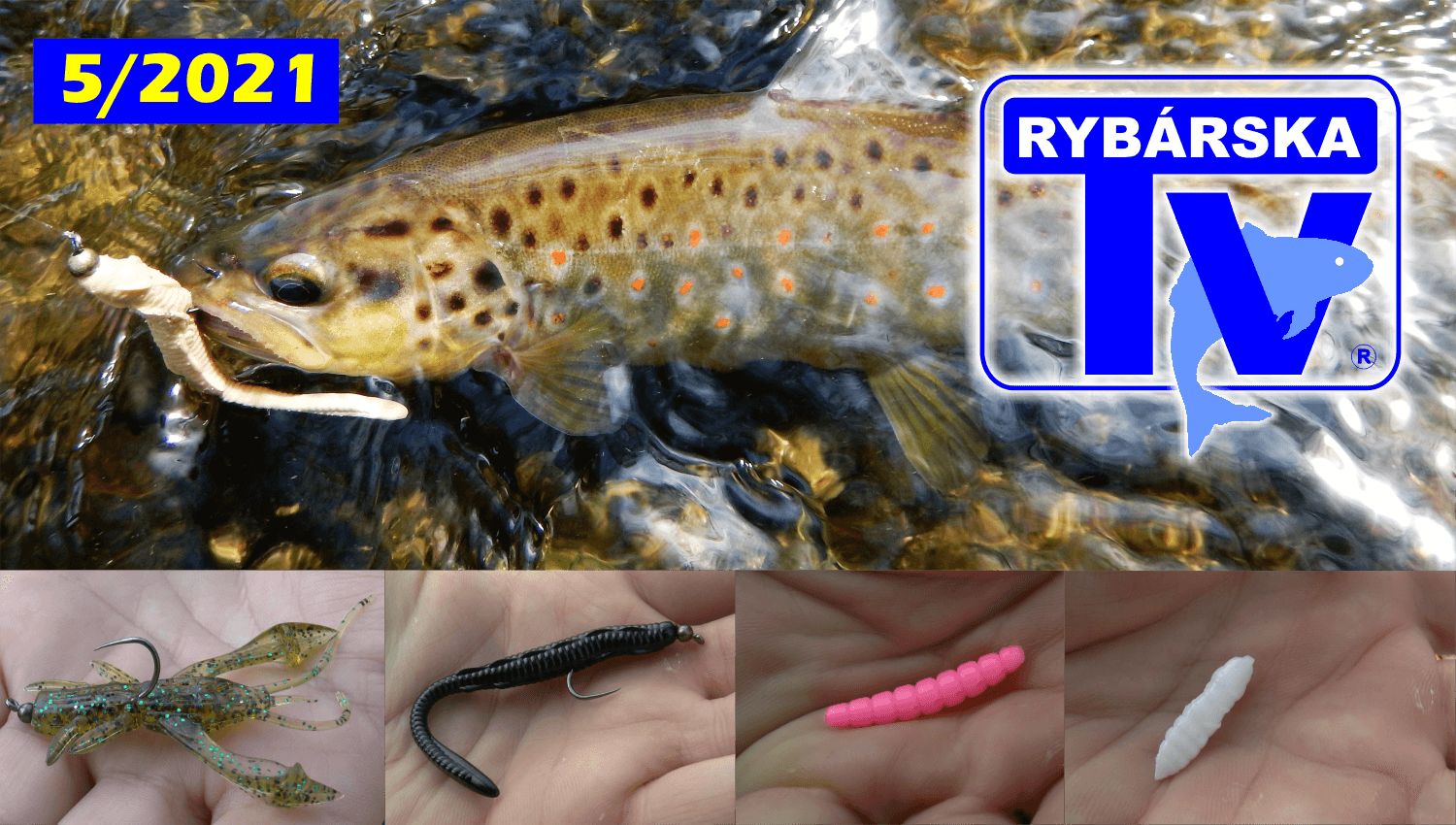 Rybárska Televízia 5/2021: Nástrahy na pstruha potočného