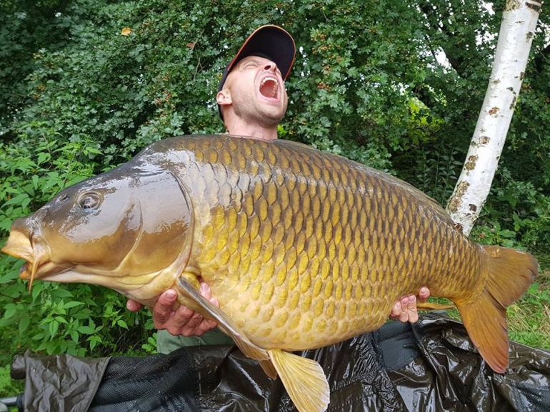 30,2kg mega kapor zabral na boilies TOP Edition od Tandem Baits ...